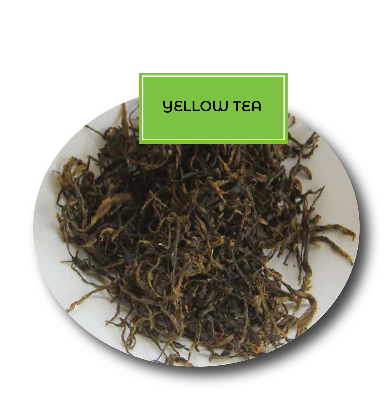 YELLOW TEA - Vobyl Tea